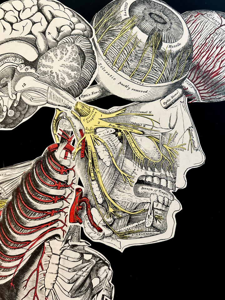 DESTROY ART – Destroy Art