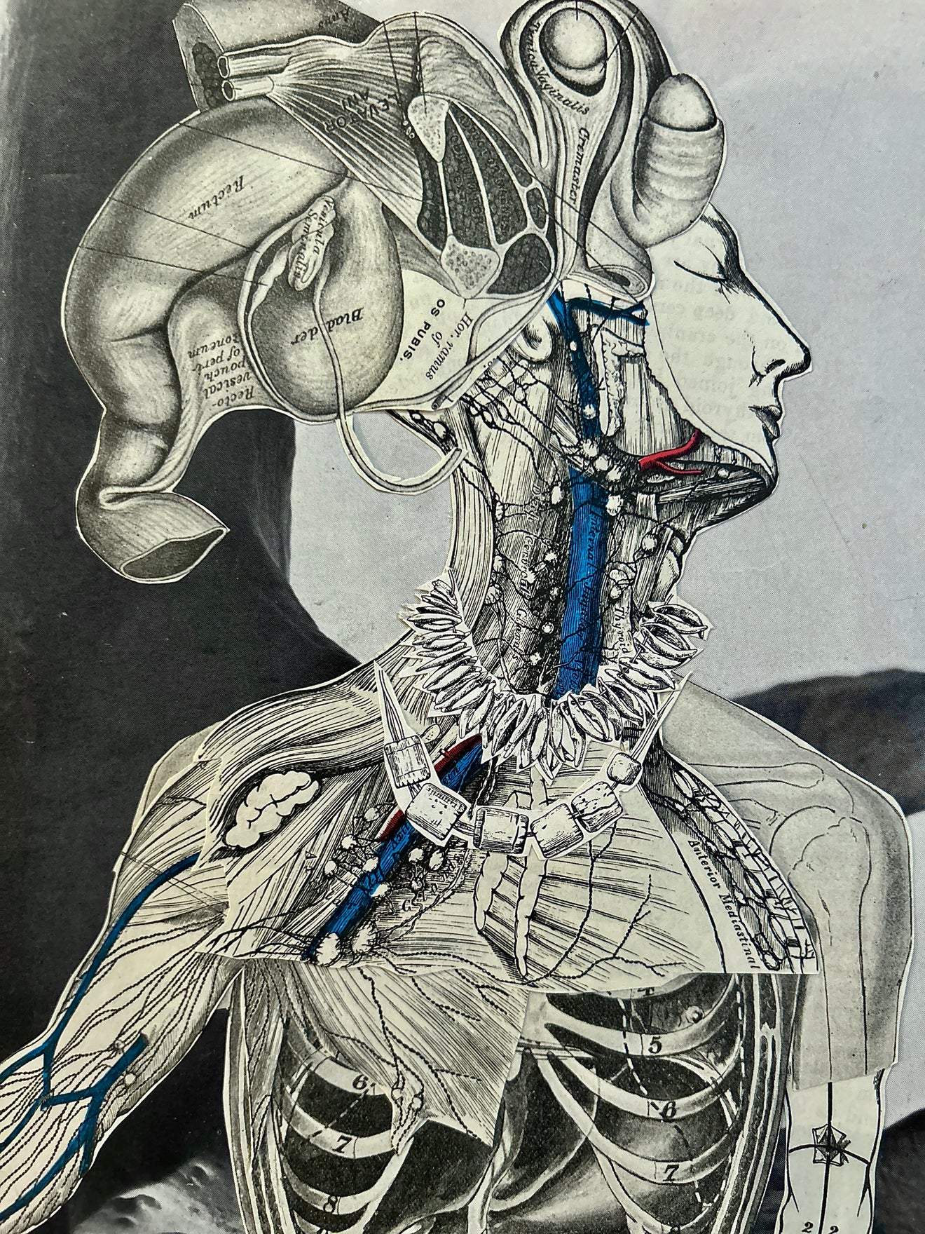 DESTROY ART – Destroy Art